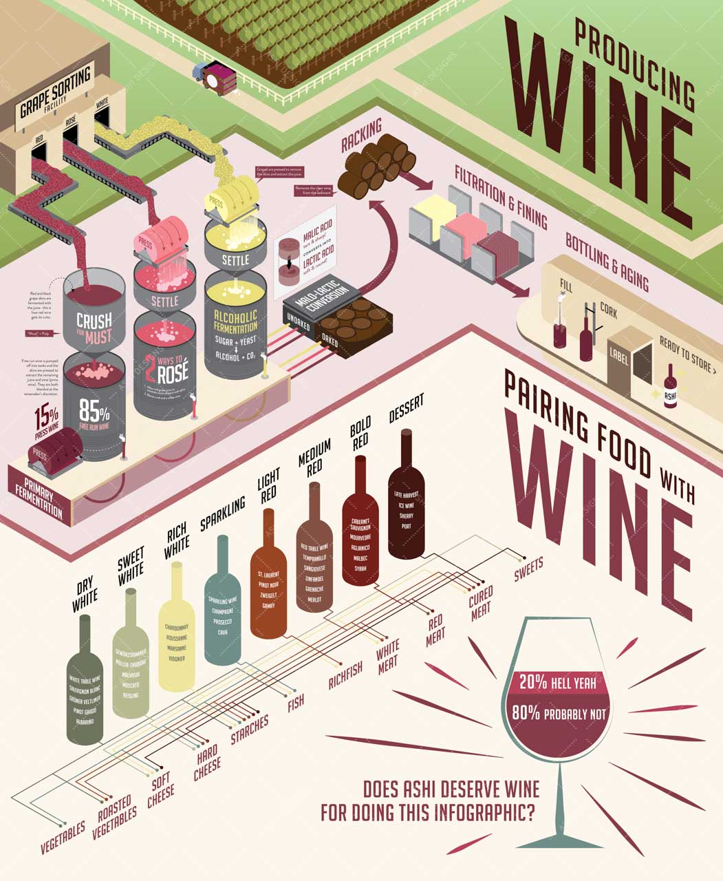 Winemaking Infographic – Ashi Designs